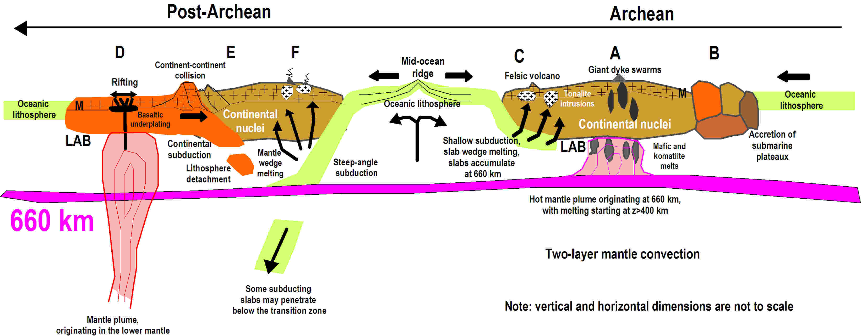 The continental lithosphere